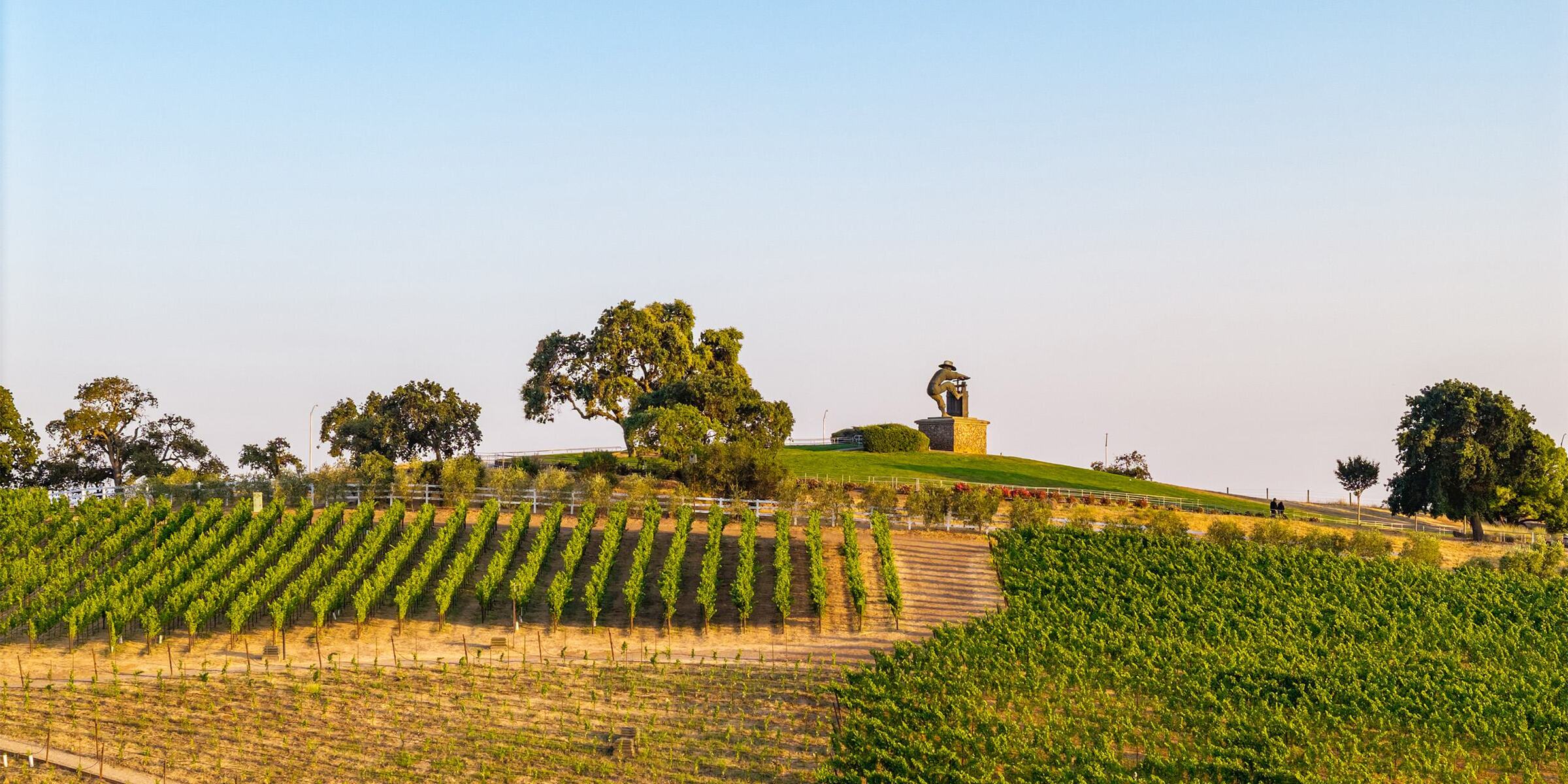 Vineyards | Napa Valley, CA