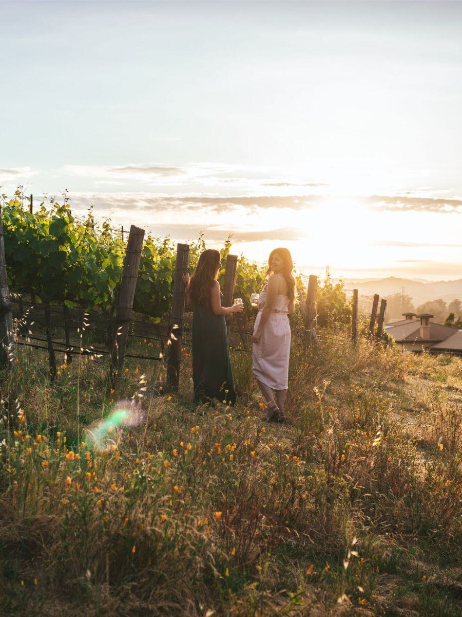 Meritage Resort & Spa | Napa Valley Vineyard Getaways