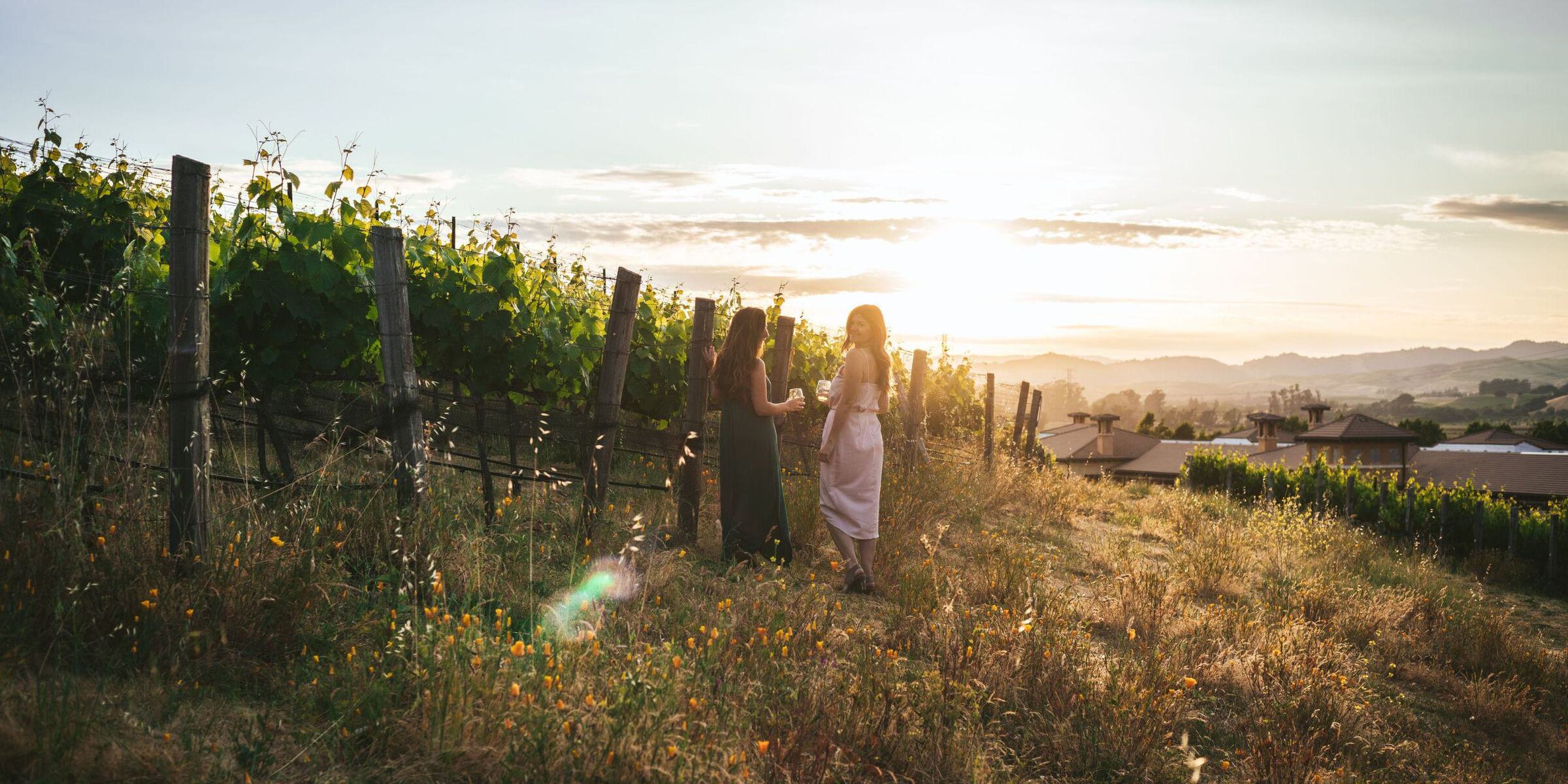 Meritage Resort & Spa | Napa Valley Vineyard Getaways