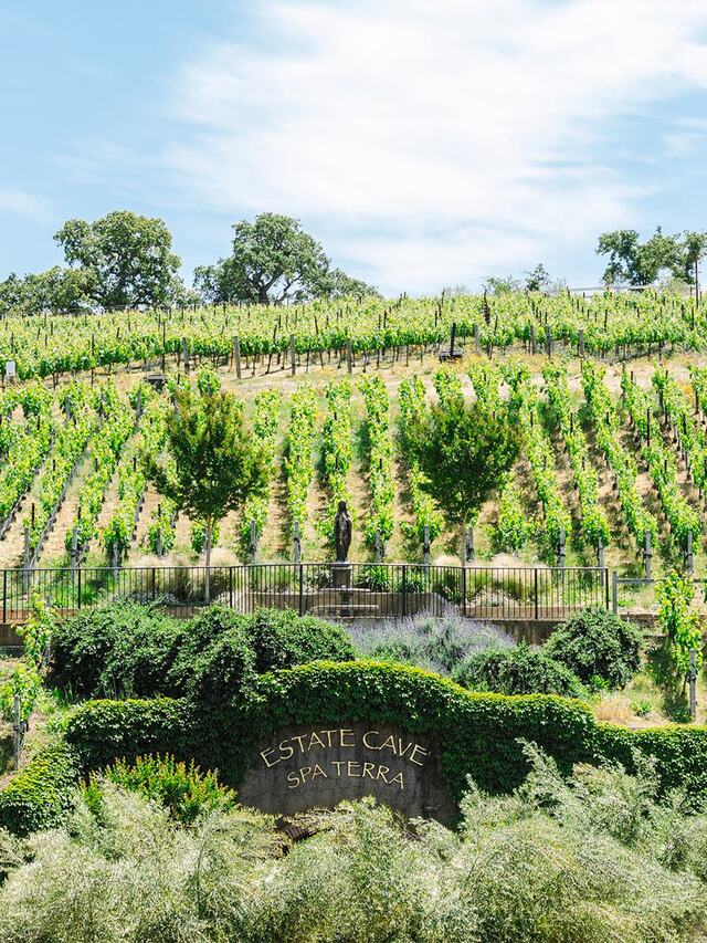 Meritage Resort & Spa | Napa Valley Vineyard Getaways