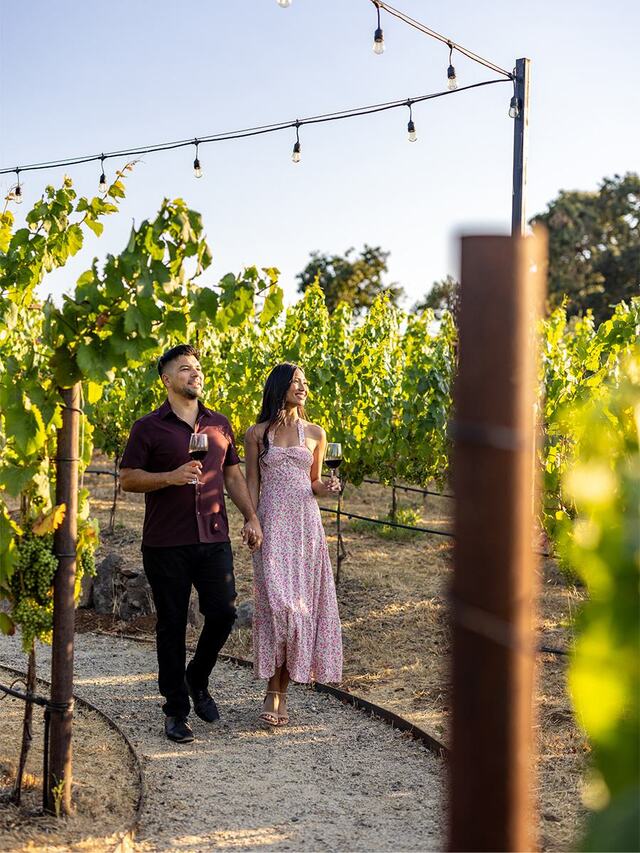 Meritage Resort & Spa | Napa Valley Vineyard Getaways