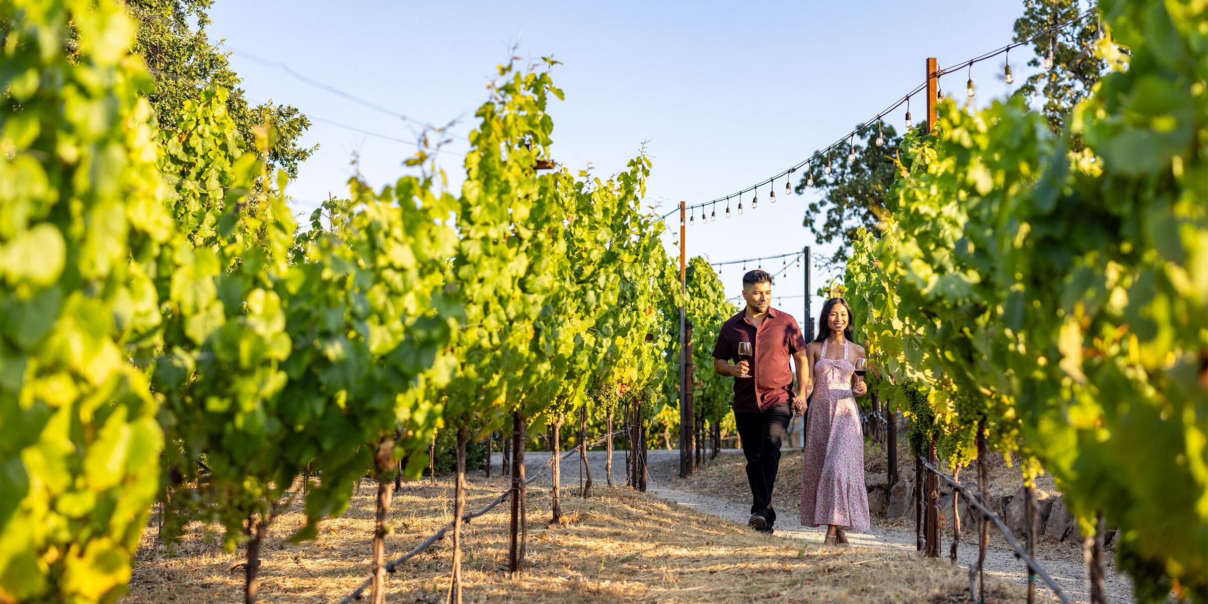 Meritage Resort & Spa | Napa Valley Vineyard Getaways