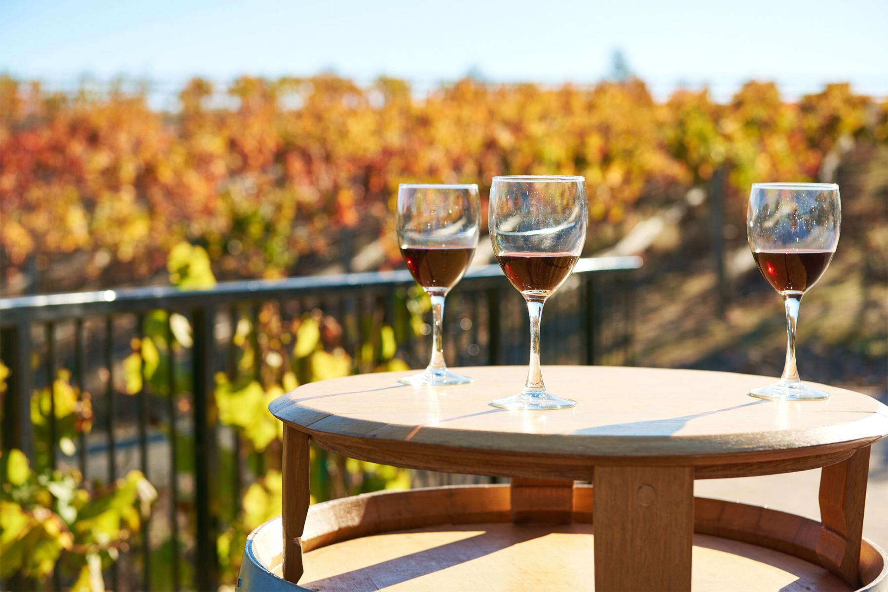 Experience Fall at Meritage | Napa, CA
