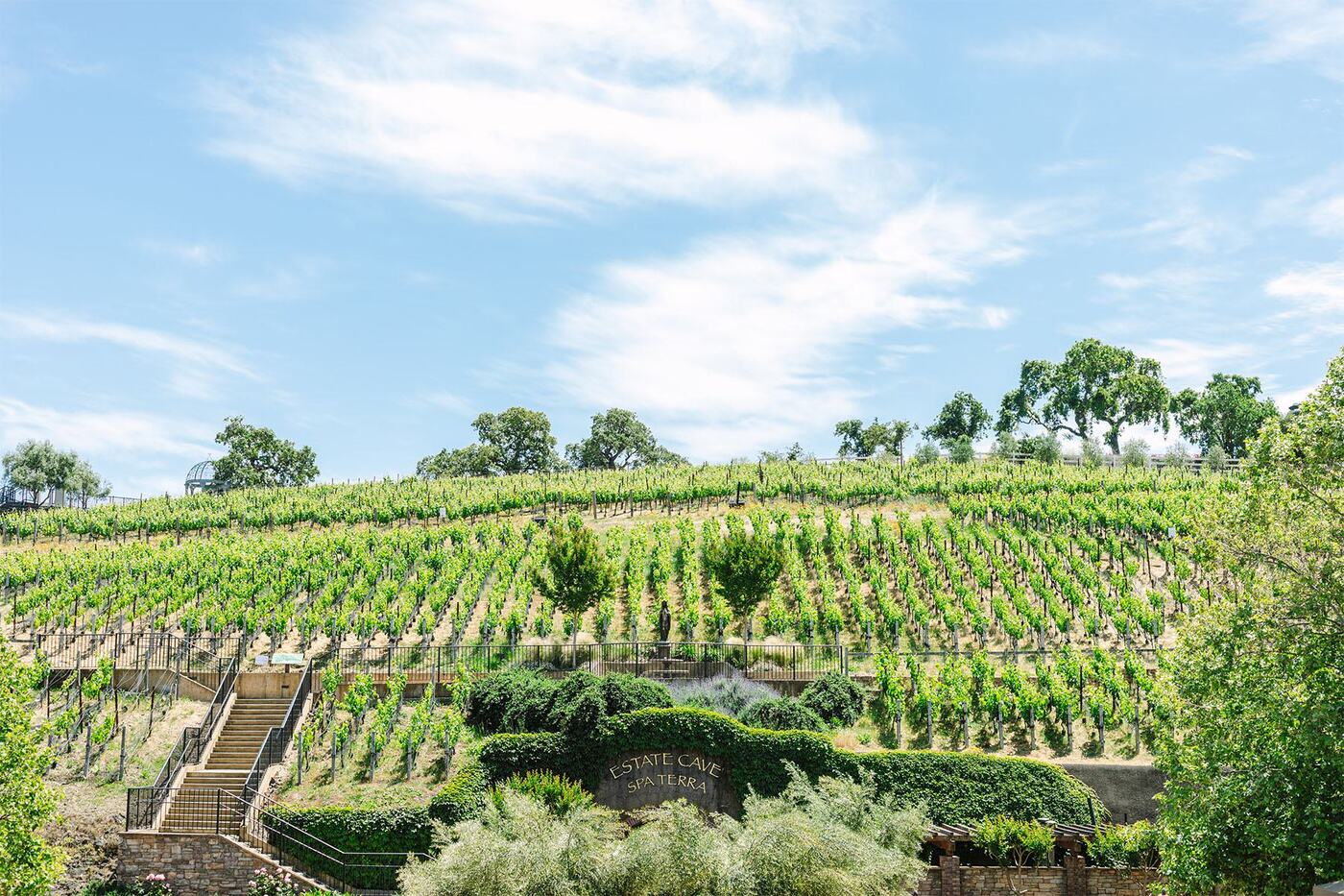 Experience Spring at Meritage | Napa, CA